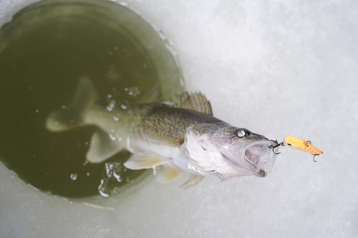 Unleash Your Catch: Best Bait Options for River Fishing - BackCast Fly ...