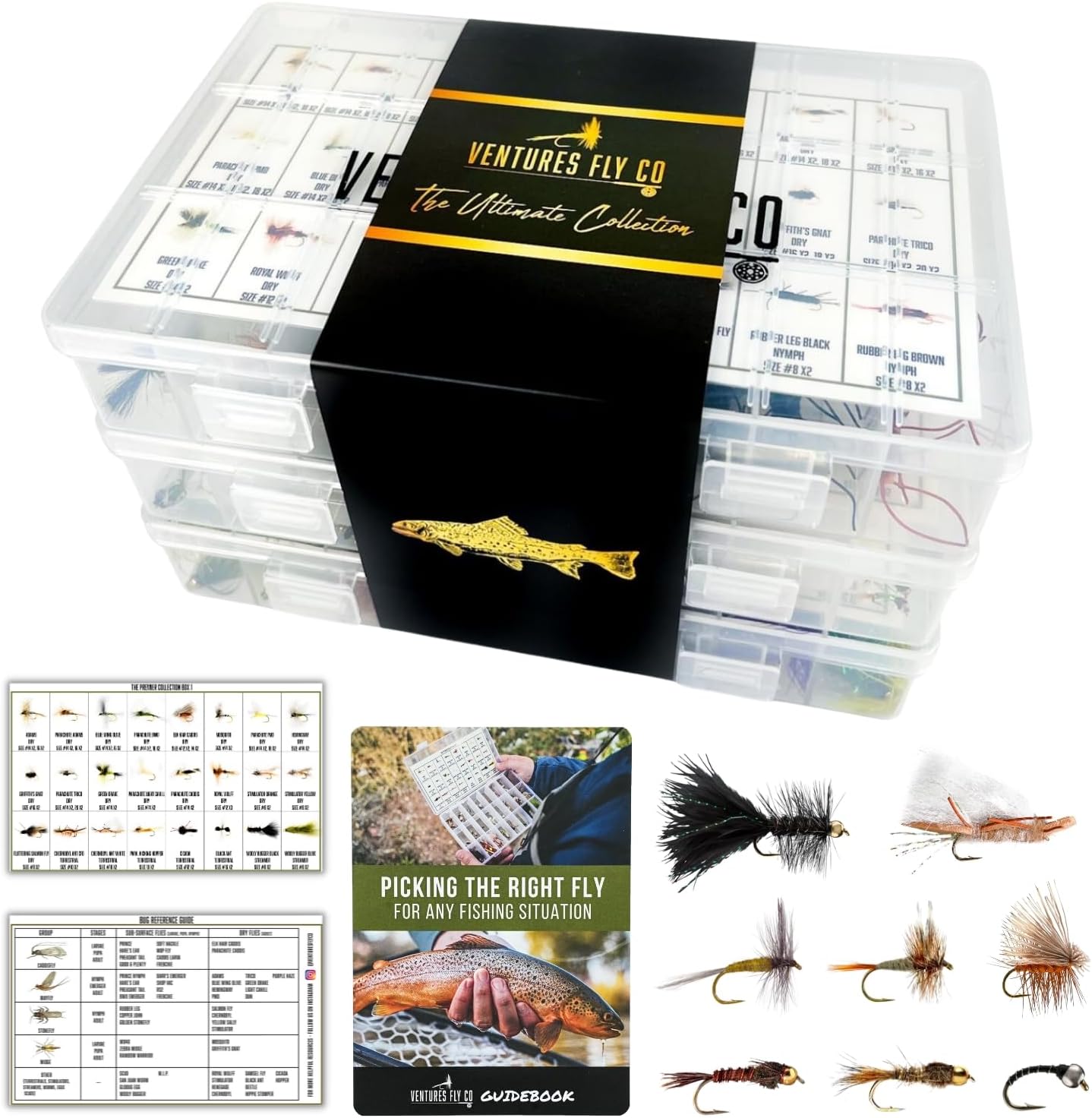 Master Fly Casting Techniques: A Beginner's Guide - BackCast Fly Fishing