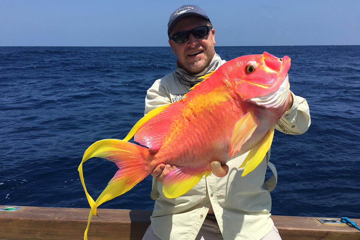 Discover the Ultimate Power Hours for Deep Sea Fishing! - BackCast Fly ...