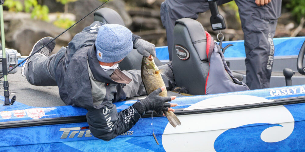 Is Asian Portal Fishing Legit? Uncover the Truth Behind the Hype ...