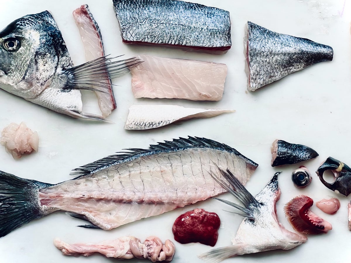 How to Master the Art of Cleaning and Filleting After Deep Sea Fishing ...