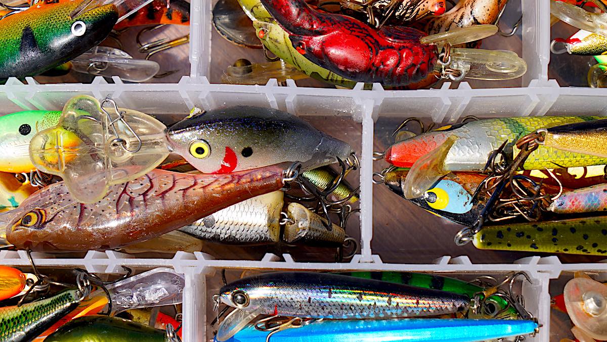 How to Rig Live Baits for Spinning Fishing: Pro Tips Revealed ...