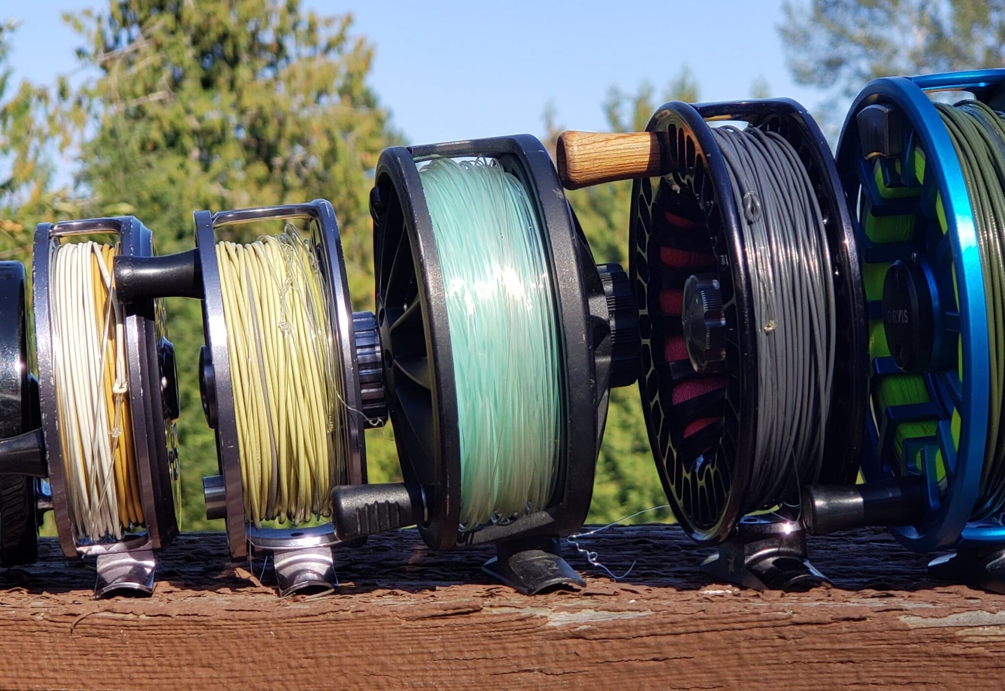 Mastering The Art Of Fly Fishing With Different Fly Lines - BackCast ...
