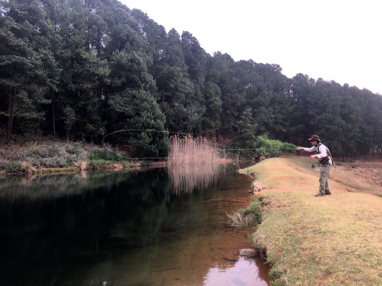 What is a Honey Hole Fishing: Unveiling the Secrets of this Trophy Spot ...