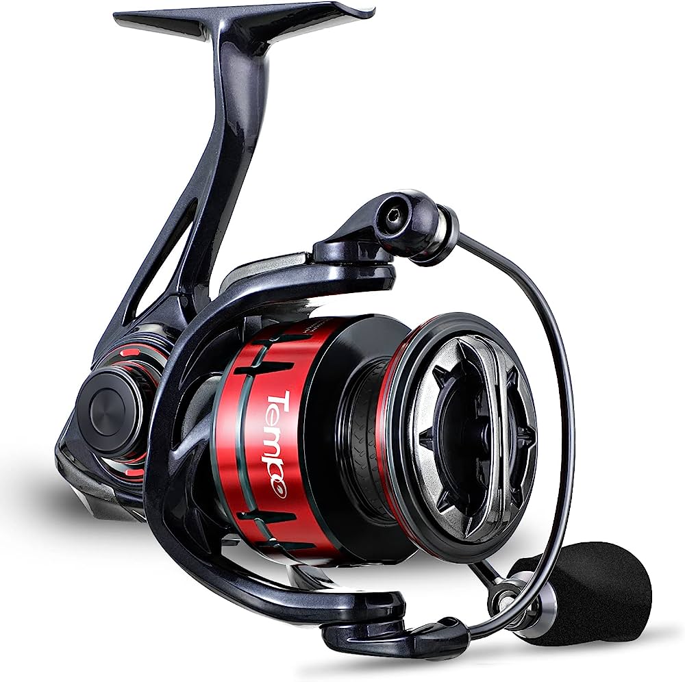 Spinning Gear vs Baitcasting Gear: Expert Comparison - BackCast Fly Fishing