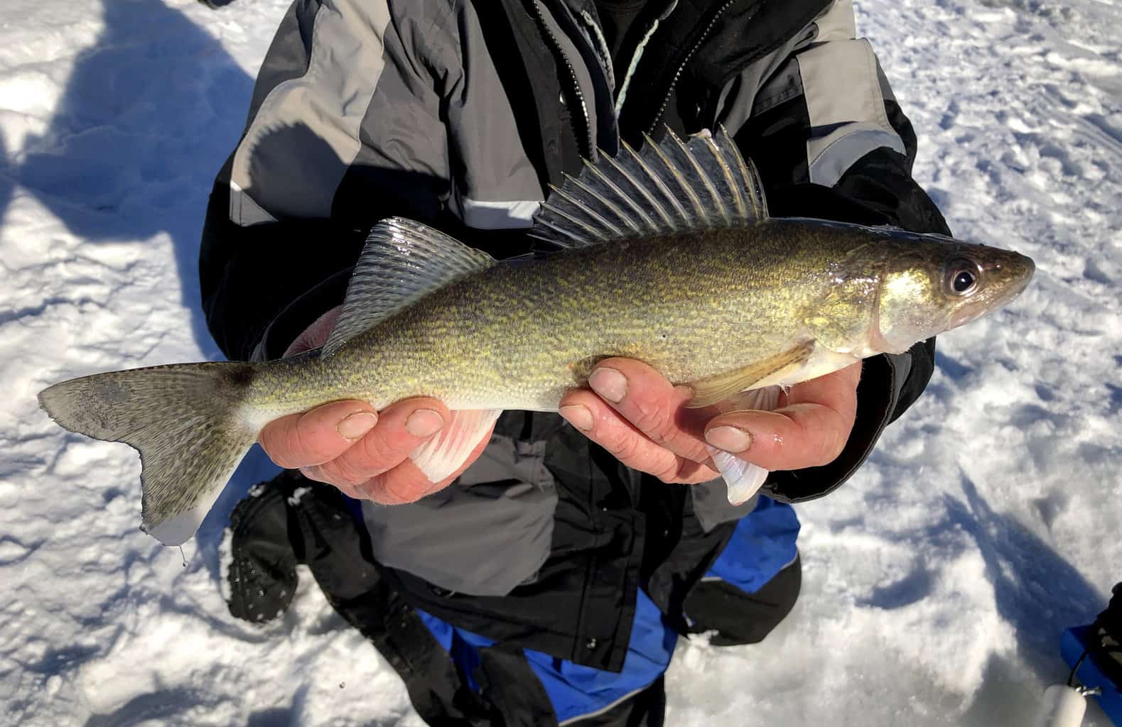 Best Walleye Ice Fishing Lakes in Wisconsin: Top Spots Revealed ...