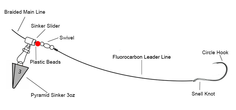 How to Tie a Fish Finder Rig for Surf Fishing: Step-by-Step Guide - BackCast Fly Fishing