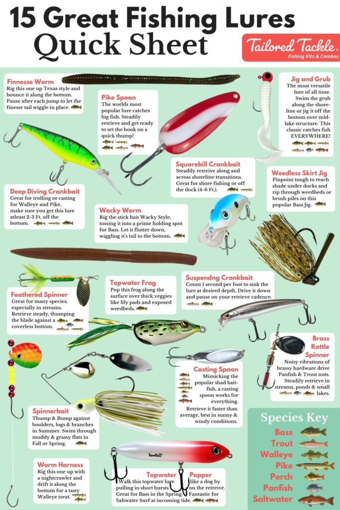 How to Use Different Types of Fishing Lures: Expert Tips - BackCast Fly ...