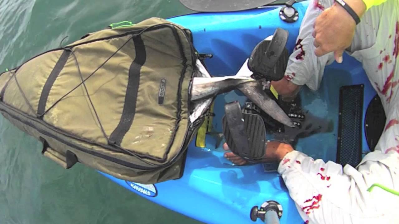 Where Do You Put the Fish You Catch in a Kayak? Expert Tips - BackCast ...